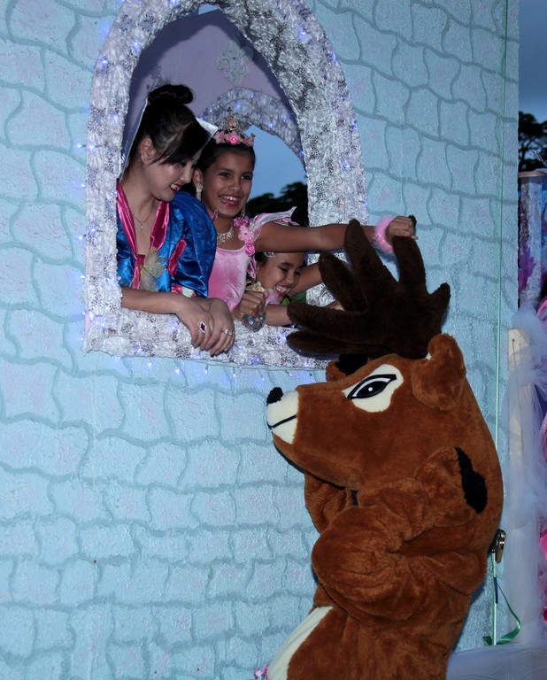 DEGUISEMENT CERF CARNAVAL